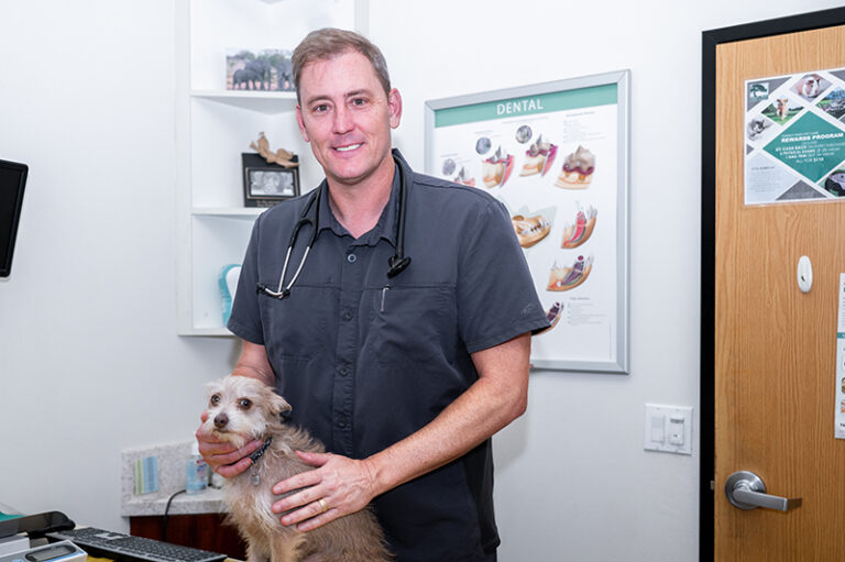 Veterinary Services - Torrey Pines Animal Hospital