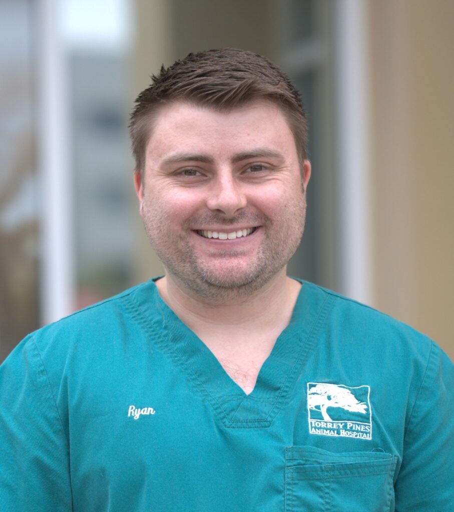 Meet Our Team - Torrey Pines Animal Hospital